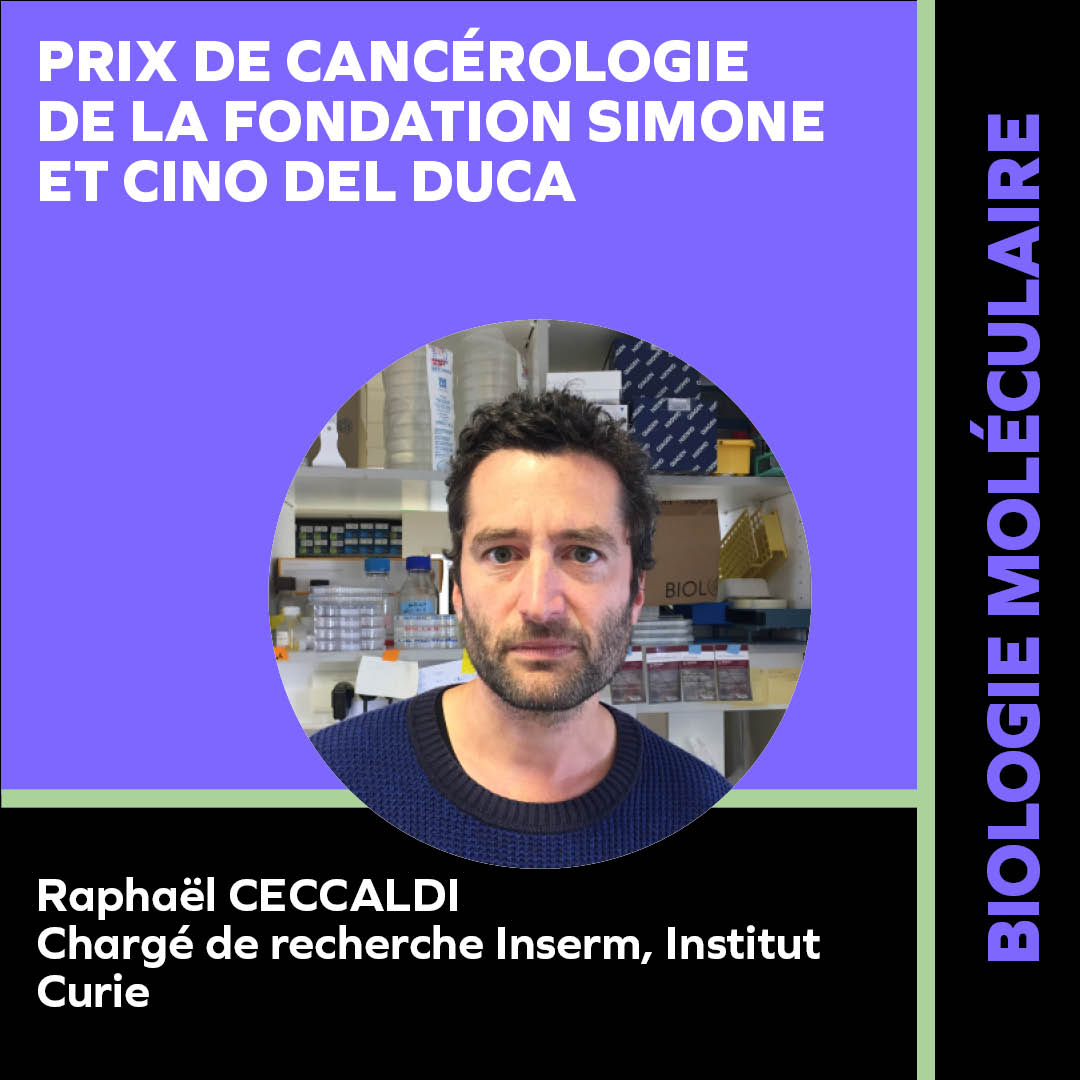 Lauréat 2024 du Prix de Cancérologie de la Fondation Simone et Cino Del Duca - Raphaël Ceccaldi ...